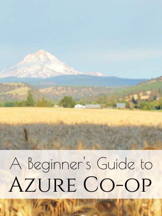Beginner's Guide to Azure Standard - Little House Living