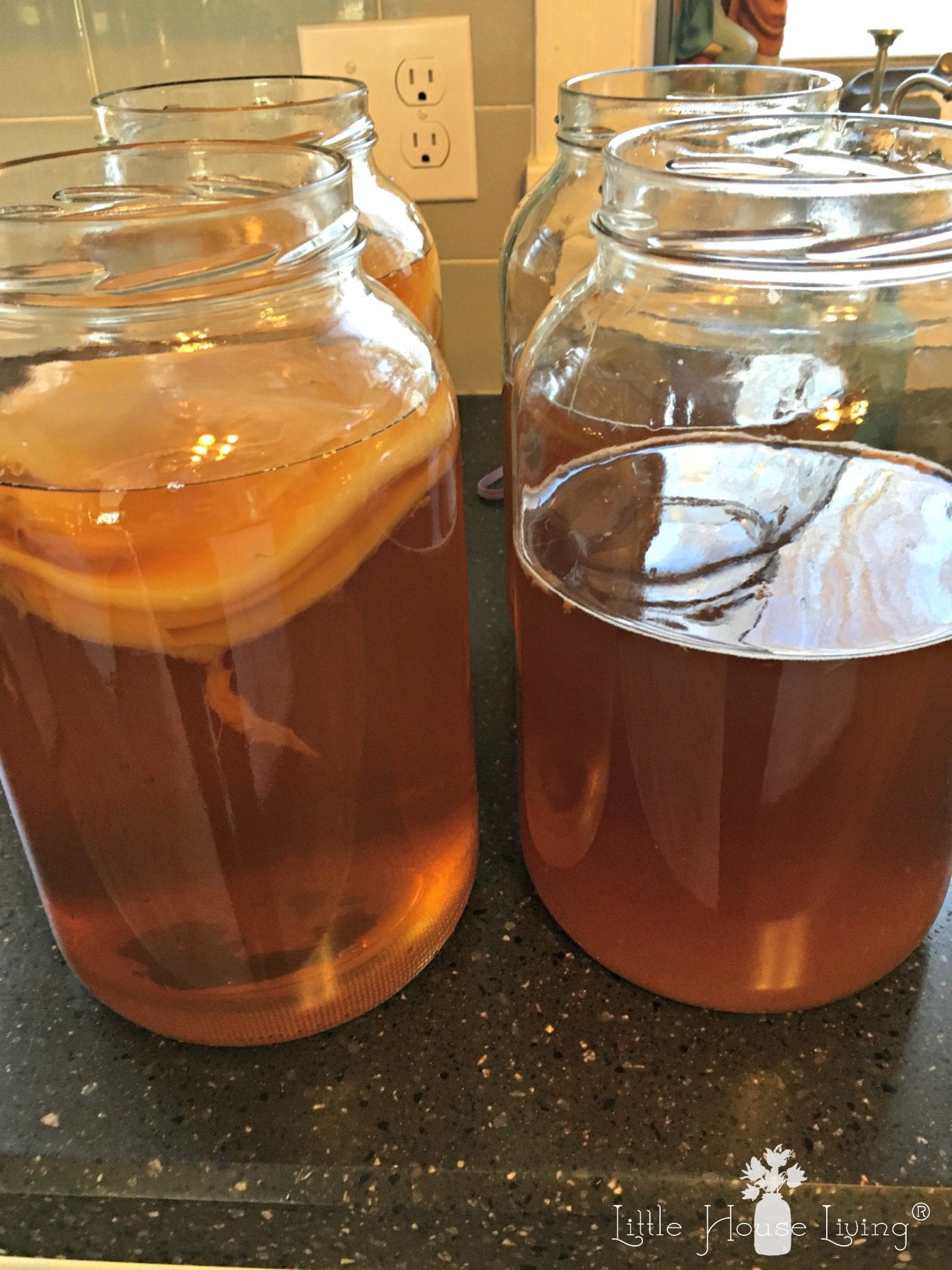How to Make Kombucha - Little House Living