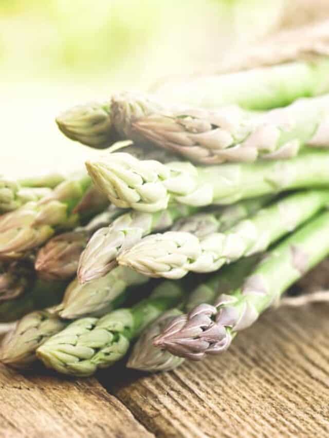 Springtime Asparagus Appetizers - Little House Living