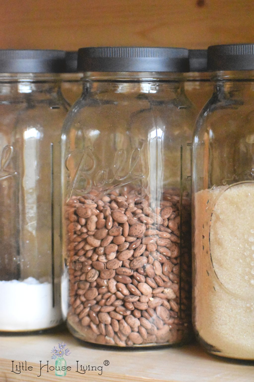 How Long Do Dried Beans Last? (Storage Tips)