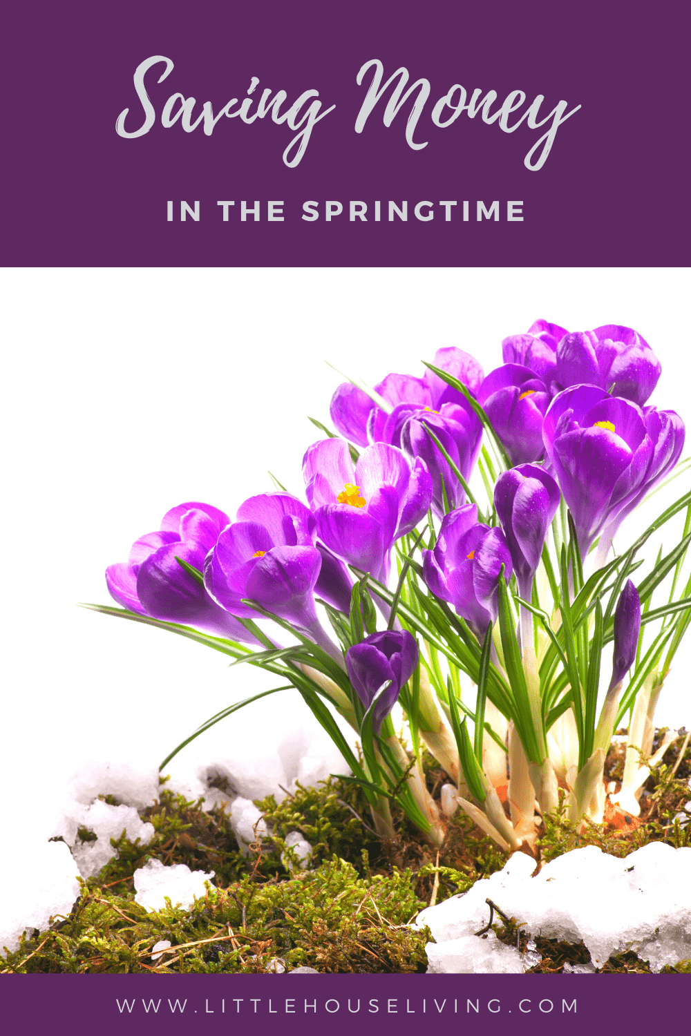Saving Money in the Spring - Little House Living