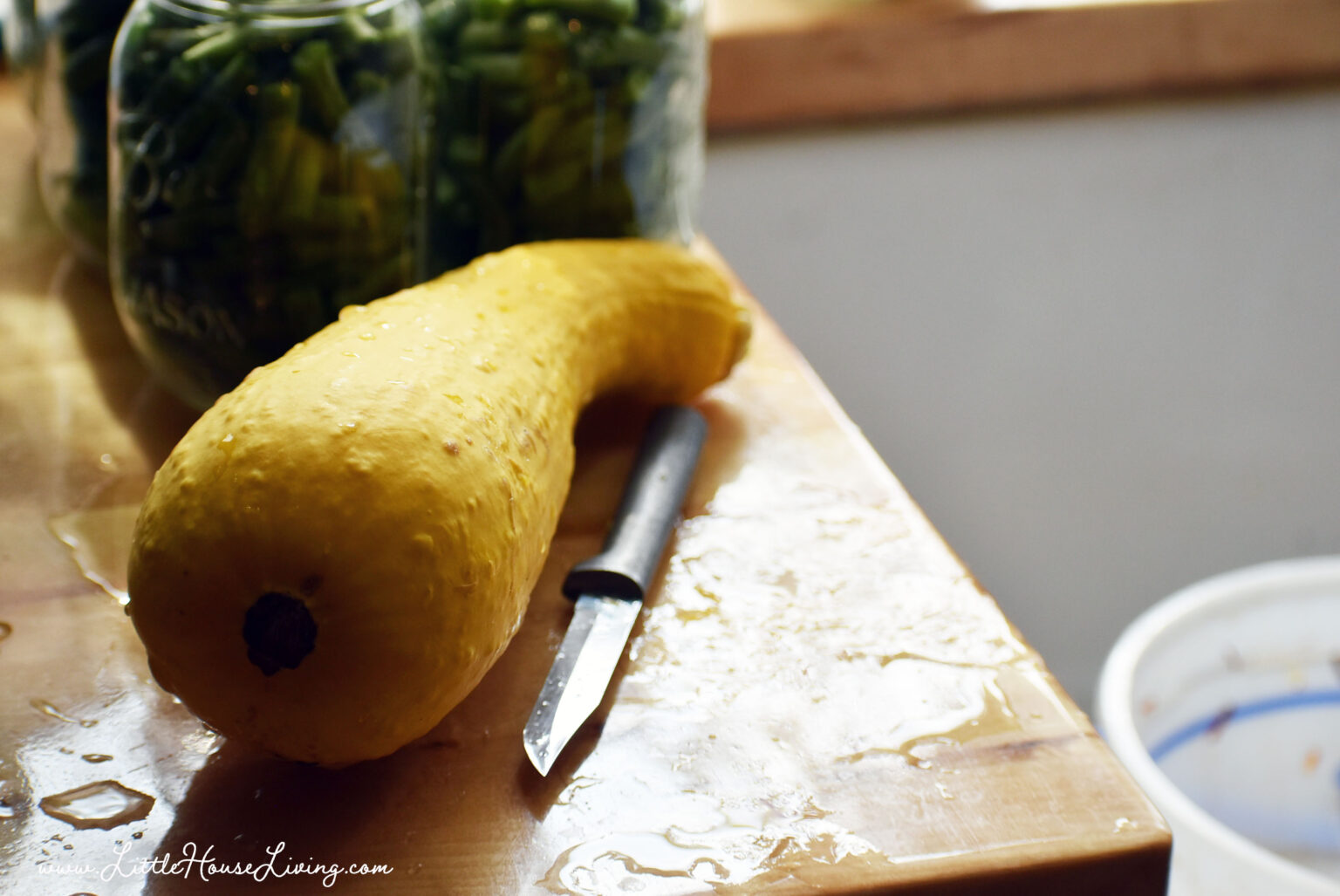 Dehydrated Zucchini and Squash and Making Zucchini Flour