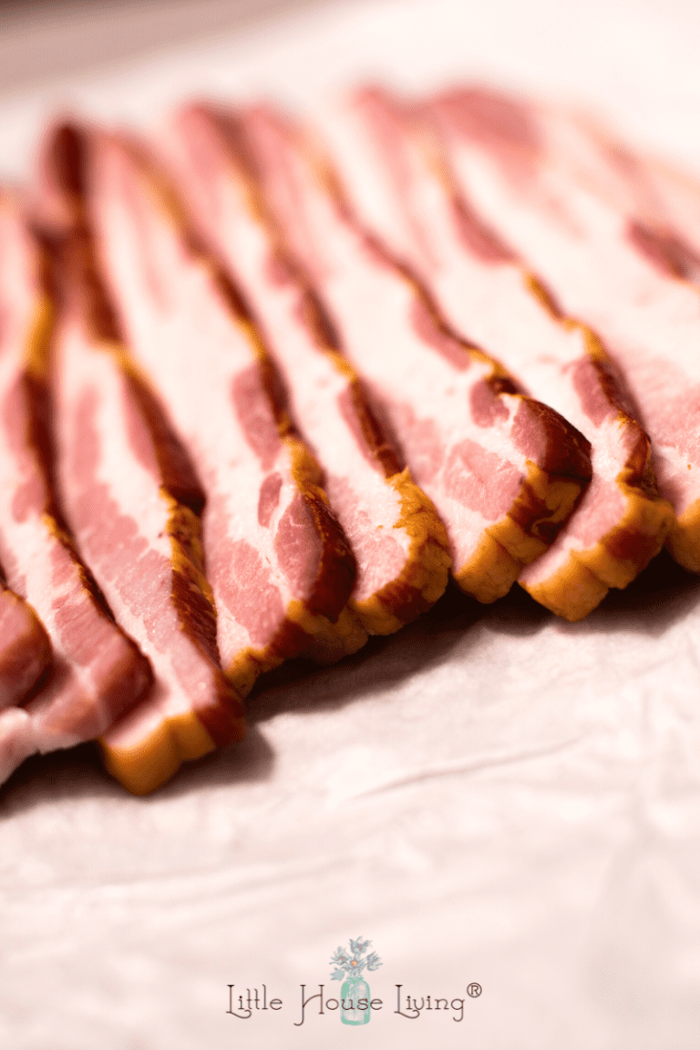 How to Store Bacon in the Fridge - Fresh and Cooked
