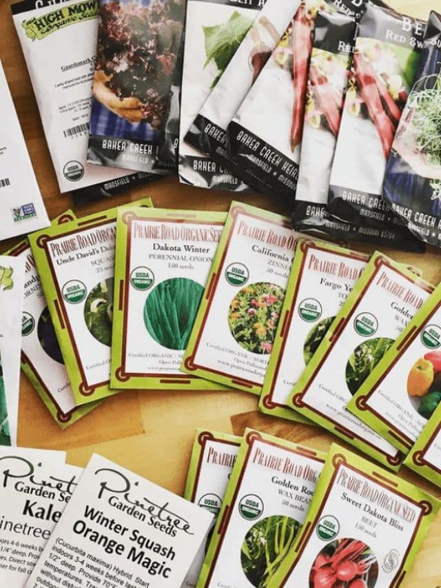 Choosing the Best Garden Seeds - Little House Living