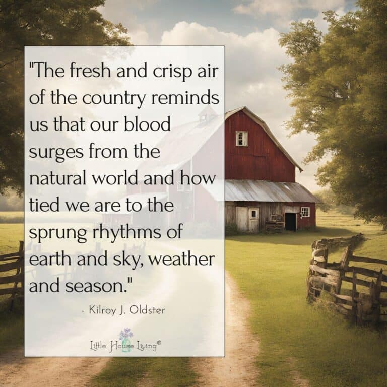 Rural Life Quotes for Days When You Need Encouragement - Little House ...